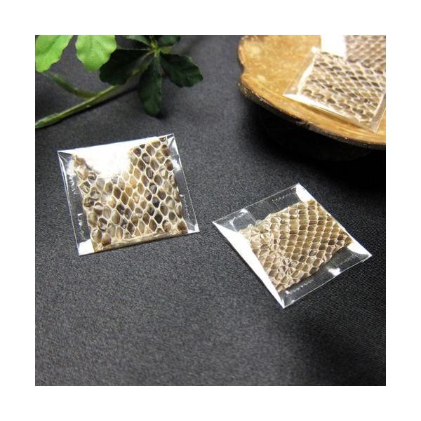 【蛇(巳)は財運・金運・厄除け・開運の縁起物】お財布に入れられる、金運UPのお守りに！金運上昇家内安全不老長寿蛇は太古の昔から「神の使い」として崇拝されてきた動物でした。長い間餌を食べなくても生きている生命力を持ち、脱皮を繰り返し成長するこ...