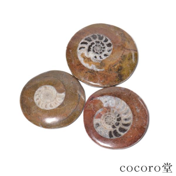 ラテン語で神（ammon）の石(ite)を意味するアンモナイトは、運気を上げて、持ち主に幸運を与えるお守りとして古来より用いられてきました。また、非常に高いヒーリング効果をもつパワーストーンとしても有名で、仕事やプライベート、恋愛等で疲れ切...