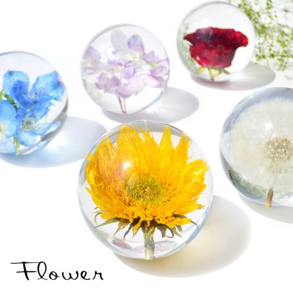 ひまわり：憧れや情熱、一途な愛情が花言葉です。たんぽぽの綿毛：花から飛び立って、たどり着いた地に種が芽を出すことから、新しい転換が訪れるといわれています。デルフィニウム：永遠の幸せが訪れるといわれています。バラ：愛・美・幸福を与えてくれるで...