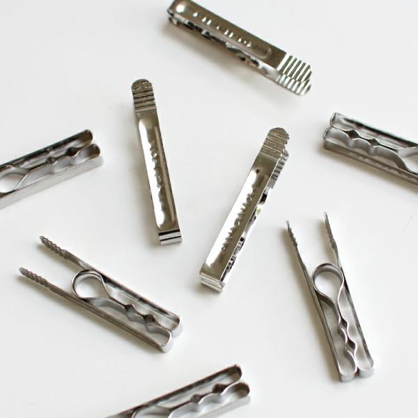 ステンレスピンチ 洗濯バサミ フランス おしゃれ 錆びない 耐久性  クリップ パシノックス Pincinox