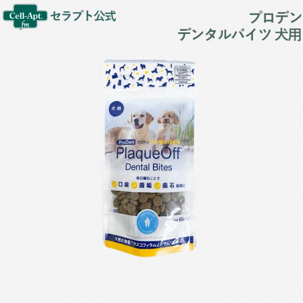 天然海藻を主原料とする安全なデンタルおやつ。口臭や歯垢、歯石付着の予防に