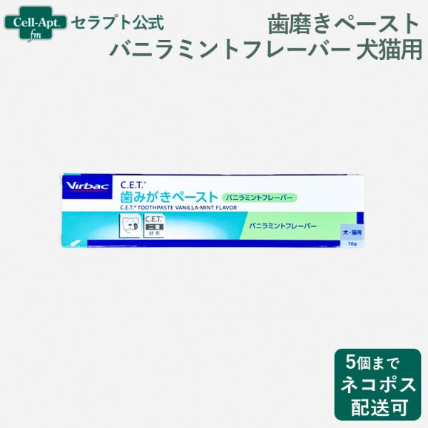ビルバック　歯みがきペースト