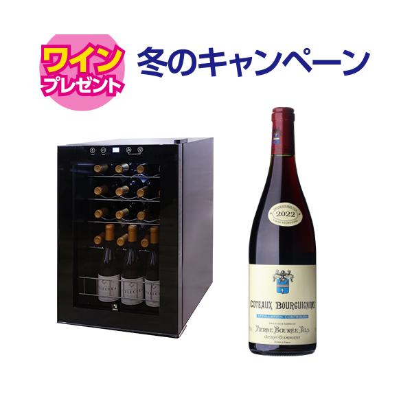 ワインセラー スタイルクレア イニッチオ inizio SI-02 ワインクーラー 21本 黒 家庭用 業務用●ワイン付1 爆買 キャンペーン