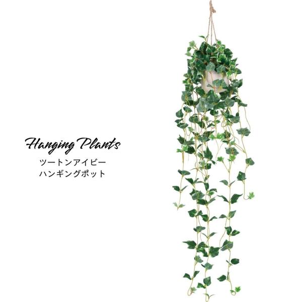 《ツートンアイビーアハンギング》人気の吊るして飾るフェイクグリーンです。リアルさを追求したアーティフィシャルグリーンで作られています。透け感のあるグリーンなので空間に圧迫感を与えず、使いやすいグリーンです。 【商品名】ツートンアイビーアハン...