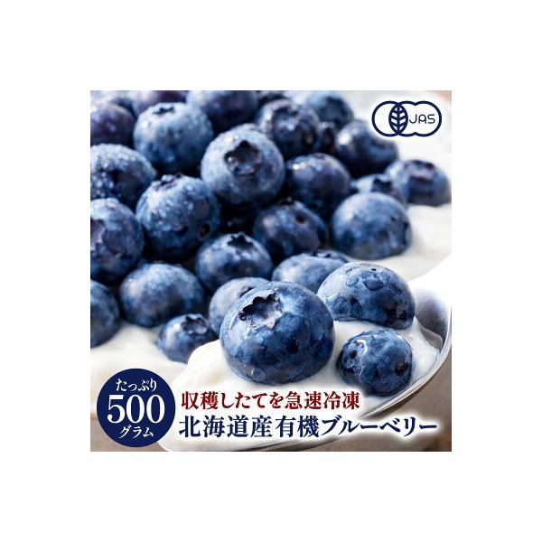 冷凍/冷凍フルーツ/オーガニックブルーベリー