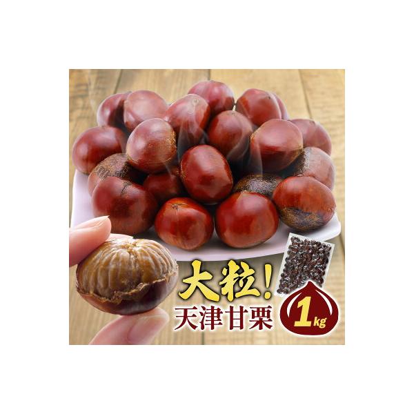 栗/くり/クリ/マロン/天津甘栗/天津/甘栗/あまぐり/焼き栗/焼栗/国内焼き上げ/国内/焼き上げ/殻付き/皮付き/殻/皮/無添加/砂糖不使用/水あめ不使用/送料無料