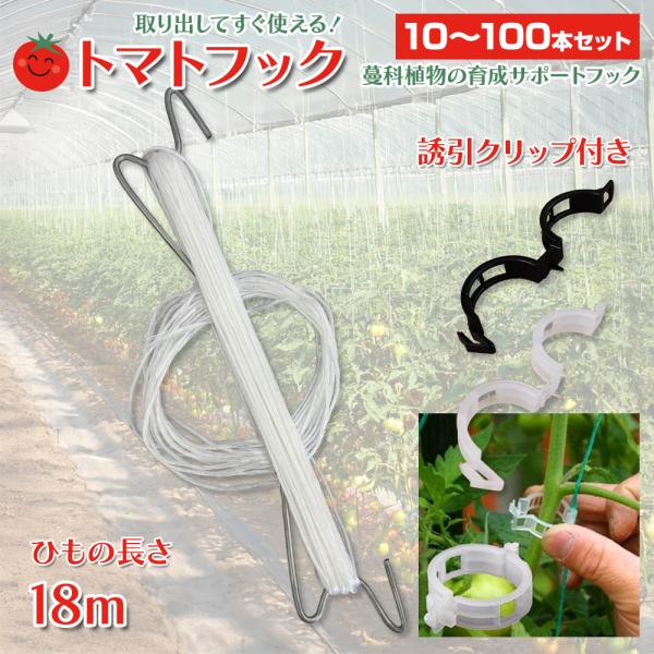 ※トマトの成長サポートだけではなく、蔓科植物の成長サポートに幅広くお使いいただけます。今までのトマトフックは紐が全て巻かれており、直ぐ作業したいのに必要分をフックから解く手間が発生していました。 紐を解く手間が数秒でも、積み重なると相当なロ...