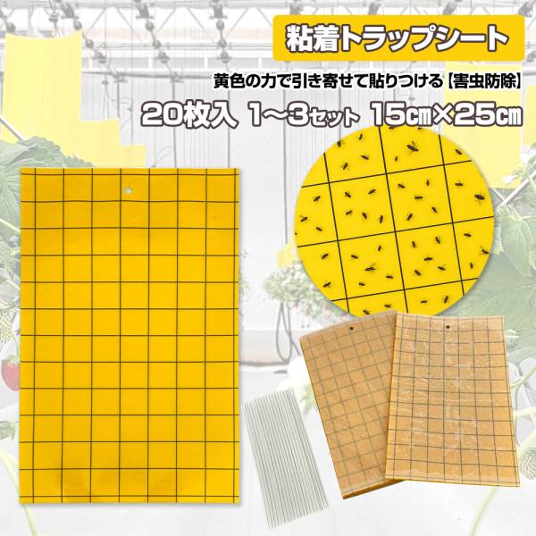 ◆商品特徴◇大きすぎず、小さすぎない15cm×25cm。◇ハサミで簡単カット。◇薬剤不使用・無臭・無毒。◇殺虫剤やスプレーを使わずに、強力粘着で害虫をキャッチ。◇人やペットにやさしく、小さなお子様がいるご家庭でも安心して使えます。