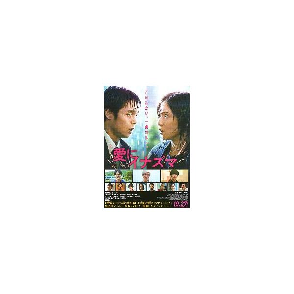 映画チラシ／ 愛にイナズマ　（松岡茉優、窪田正孝） 　　 石井裕也監督、池松壮亮、若葉竜也、仲野太賀、趣里、佐藤浩市）