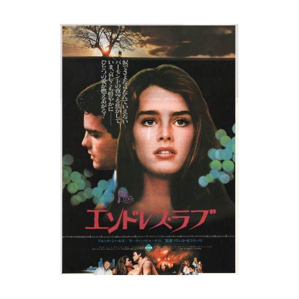 映画チラシ／ エンドレス・ラブ　（Ｂシールズ）　カラー