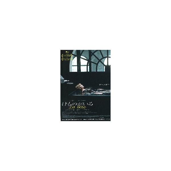 映画チラシ／ けものがいる　（ベルトラン・ボネロ監督　共同プロデューサー：グザヴィエ・ドラン　出演：Lセドゥ）　B　黒