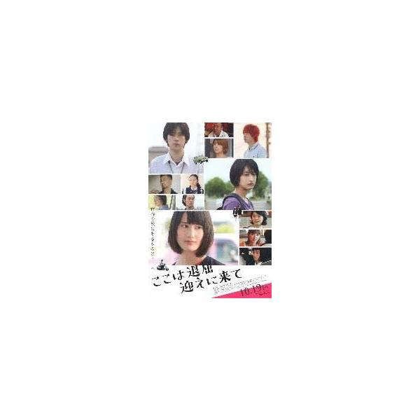 映画チラシ／ ここは退屈　迎えに来て（橋本愛、門脇麦、成田凌）Ｂ　2折