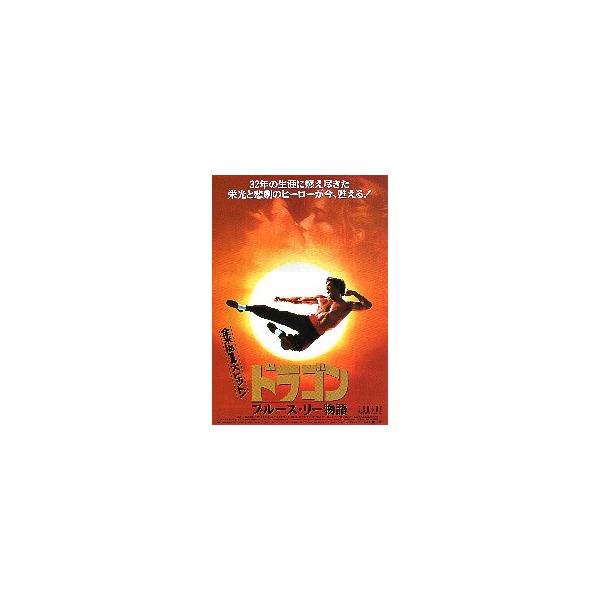映画チラシ／ ドラゴン　ブルース・リー物語　（Jスコット・リー） 　