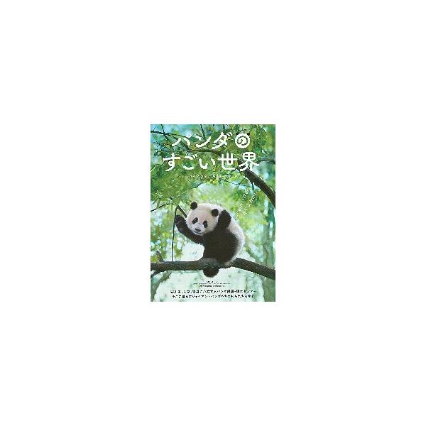 映画チラシ／ パンダのすごい世界　（ビボ・リャン監督）　B　パンダ全身 　 中国　四川省、北京、香港に点在するパンダ保護・研究センター　そこに暮らすジャイアント・パンダたちのドキュメント
