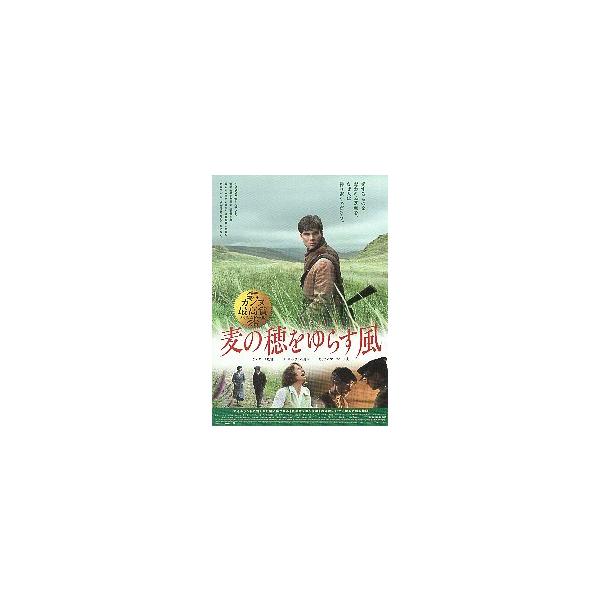 映画チラシ／ 麦の穂をゆらす風　（Ｋローチ監督）　Ａ　定型