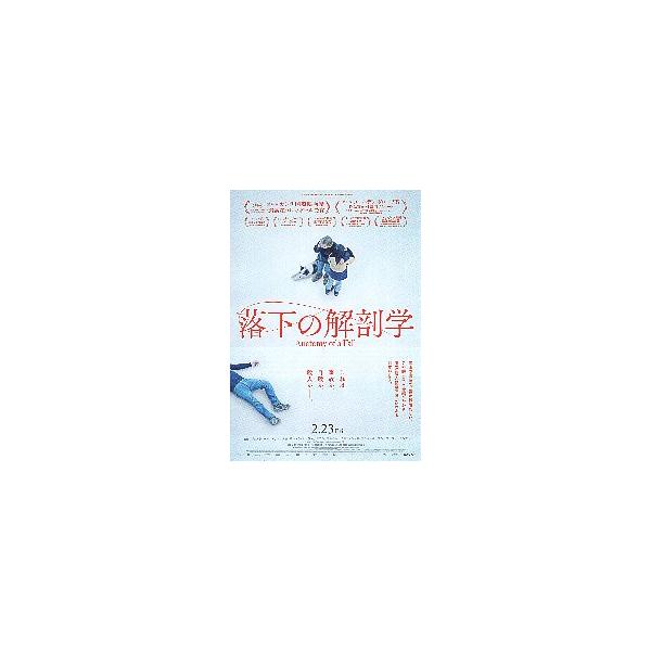 映画チラシ／ 落下の解剖学　（Jトリエ監督、Sヒュラー）