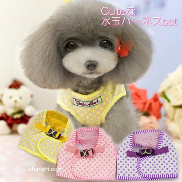 【在庫限りSale】★990円★Cuteな水玉のハーネス＆リードセット【Brothercatdog】【メール便OK】★わんちゃんに優しいハーネスセット。明るいカラーリングの水玉でキュート！クッション素材で引っ張られても痛くないので小さなわん...