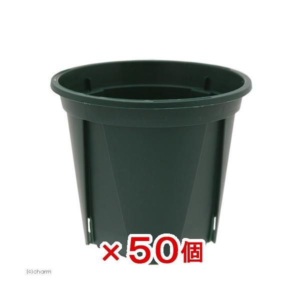スリット鉢　植木鉢　鉢　ガーデニング用品　_gardening　ＥＵＰＯＴ　９ｃｍ　モスグリーン　兼弥産業　園芸用品　ガーデニング　ポット　ハイドロカルチャー　小型ポット　観葉植物　小鉢　ＫＫ　３号　セット　５０個入り　20171011　ビ...