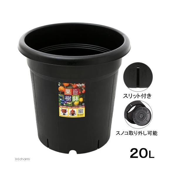 メーカー：アップルウェアー プランター　植木鉢　鉢　ガーデニング用品　_gardening　アップルウェアー　果樹鉢　３６５型　ブラック　黒　ガーデニング　園芸用品　１２号　直径・幅３６ｃｍ〜　直径３６５ｍｍ　直径３６．５ｃｍ　深型タイプ　...