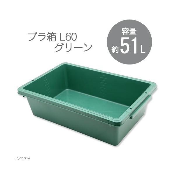 アクアリウム用品　簡易梱包　Ｅ-ＣＯＮ　プラ箱　L６０　グリーン　アクア用品　水槽・台・フタ他　タフブネ・プラ箱・爬虫類　両生類　水槽　単体　金魚・メダカ・錦鯉・日淡　ガーデニング　園芸用品　たらい　桶　金魚すくい　20160307　ＫＫ　...