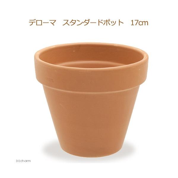 メーカー：デローマ 多肉植物　植木鉢　鉢　ガーデニング用品　_gardening　ガーデニング　園芸用品　デローマ　スタンダードポット　１７ｃｍ　0726232011606　テラコッタ　ポット　ＫＫ　イタリア製　20151017　デローマ社...