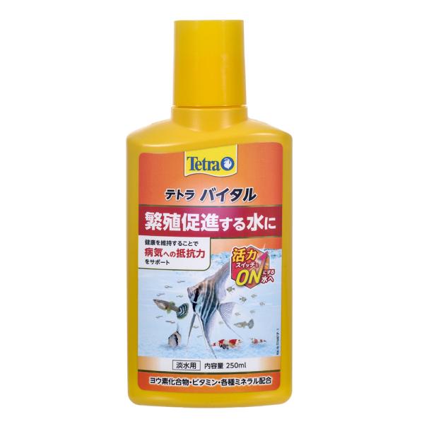 メーカー：テトラ アクアリウム用品　アクア用品　調整剤　バクテリア　ミネラル添加剤　テトラ　バイタル　２５０ｍｌ　器具　テトラジャパン　tetoj1408　4004218741843　cpntetcndyh220　brand_tetra_c...