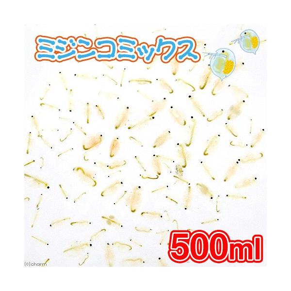 _hachu　_aqua　fish_databas　生き餌　生体　_kame　fry_bait　熱帯魚・エビ他　新仔　貝　種類で選ぶ　再生　自由研究　ダフニア　タマミジンコ　ミジンコ　ケンミジンコ　カイミジンコ　単為生殖期　有性生殖期　休眠...