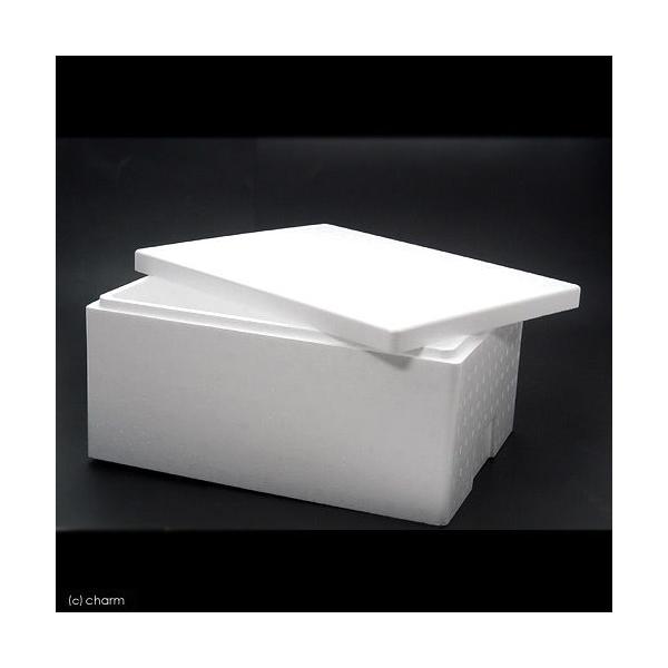 horei_happo　アクアリウム用品　_daily　_gardening　金魚・メダカ　アクア用品　発泡　スチロール　箱　水合わせ　保温　保冷　happo_stiroll0421　etto_happo　happoseries　_aqua...