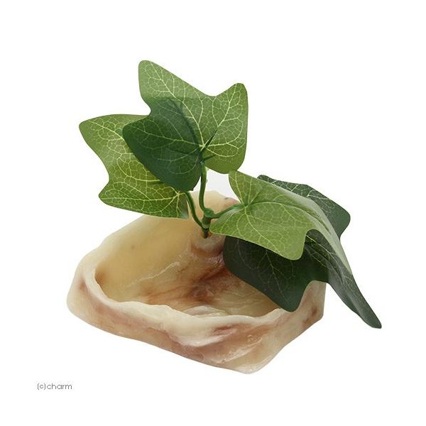 メーカー：三晃商会 SANKO　_insect　_animal　オカヤドカリのプール　オカヤドカリ　ヤドカリ　プール　アクア用品　その他　水飲み器　遊び場　オカヤドカリ用品　小動物　鳥　ＴＫＨ　20140523　4976285058509　...