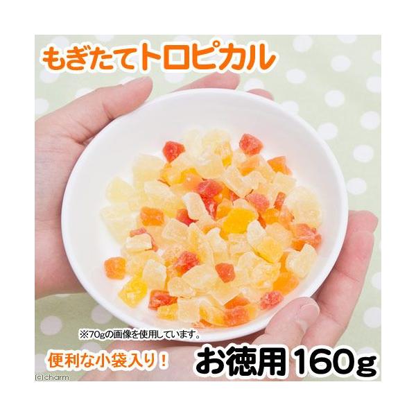 メーカー：マルカン _animal　小動物　鳥　うさぎ　ハムスター　モルモット　リス　もぎたてシリーズ　おやつ　マルカン　もぎたてトロピカル　果物　フルーツ　マンゴー　パパイヤ　パイン　パイナップル　お徳用　160g　20130509　MI...