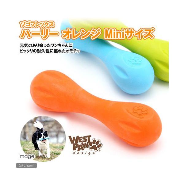 メーカー：West Paw Design amzn_hidden　犬用品　おもちゃ　ゾゴフレックス　ハーリー　20120718　TNK　zgfrx130426　_dog　rkyftp0_10_rngeral　0747473719182　rk...