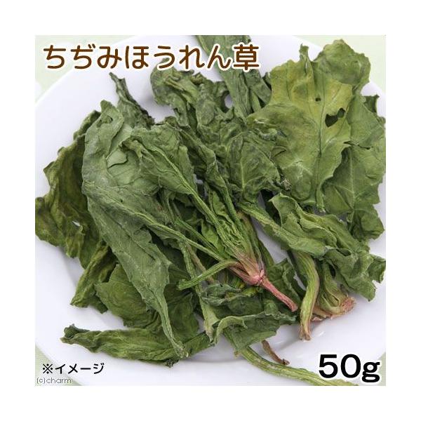 メーカー：(株)リーフ Leaf Corp line250910p510anim　usymlist　小動物　鳥　ハムスター　うさぎ　チンチラ　モルモット　デグー　リス　フード　えさ　おやつ　餌　用品　フルーツ　野菜　oytdry_anml　...