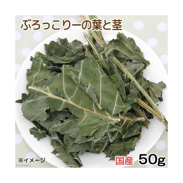 メーカー：(株)リーフ Leaf Corp usymlist　小動物　鳥　ハムスター　うさぎ　チンチラ　モルモット　デグー　リス　フード　えさ　おやつ　餌　用品　フルーツ　野菜　oytdry_anml　_animal　国産ぶろっこりーの葉と...