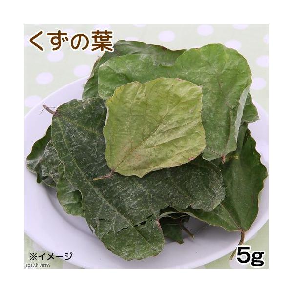 メーカー：(株)リーフ Leaf Corp reveiwrkleafmin　usymlist　usahokan　g_hen　herb_usayama　小動物　鳥　ハムスター　うさぎ　チンチラ　モルモット　デグー　リス　フード　えさ　おやつ　...