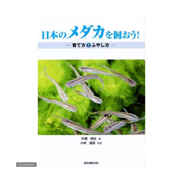 メーカー：誠文堂新光社 アクアリウム用品　書籍　アクアリウム　淡水　メダカ　book1000_aqua　9784416705421　opa2_delete　y22m08