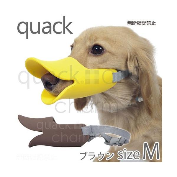 メーカー：テラモト 犬用品　しつけ用品　ＯＰＰＯ　ｑｕａｃｋクァック　Ｍ　ブラウン　犬　口輪　ムダ吠え防止　噛み癖　拾い食い　ダックスフンド　ミニチュアピンシャー　小型犬　20131121　OKB　_dog　ｑｕａｃｋ　movie_1266...