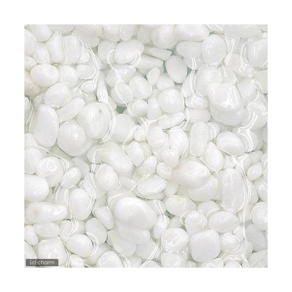 メーカー：(株)リーフ Leaf Corp アクアリウム用品　_aqua　_gardening　化粧砂　器具　底床　砂利　明るい色合　sand100115　pt10teisho　prise_sand　leafnewjan　color_san...