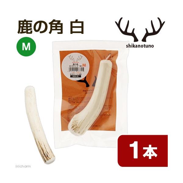 メーカー：(株)リーフ Leaf Corp リーフコーポレーション　リーフコーポ　リーフ　ＬＥＡＦ　Corp　Corporation　leaf_dental_dog　usymlist　_dog　inuyamatoy　鹿の角　鹿角　鹿　角　シ...