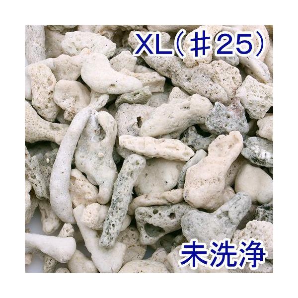 アクアリウム用品　naisyoku_syukei　hwlist　アクア用品　海水　未洗浄　サンゴ砂　ＸＬ　＃２５　mi_sango_XL　２０ｋｇ　海水水槽用底砂　ＨＩＮ　20130816　btsryo　プラチナリーフサンド　ライブアラゴナ...