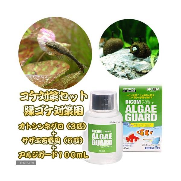 熱帯魚・エビ他　ヤマト・ミナミセット　緑ゴケ対策用　オトシンネグロ＋サザエ石巻貝＋バイコムアルジガード１００ｍＬ　食べさせる　水槽壁面のコケを綺麗にする　石巻貝　バイコムアルジガード　バイコム　bicom_item　koketaisaku_...
