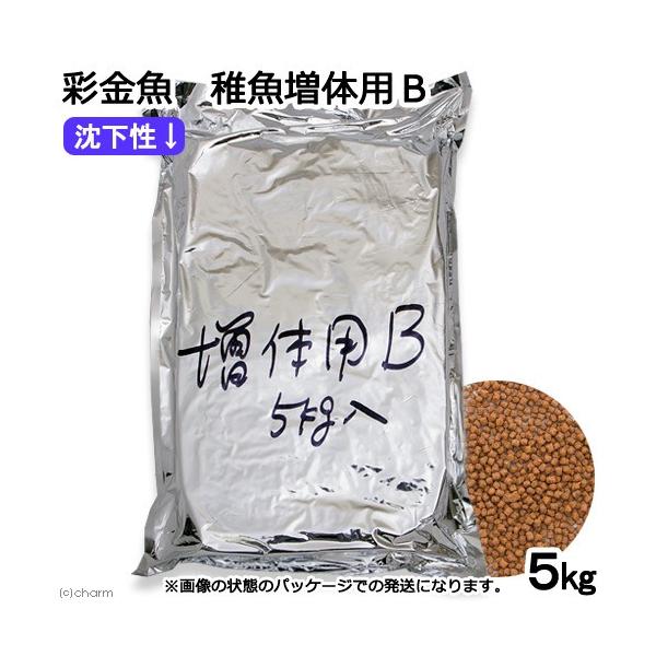メーカー：ミシロ アクアリウム用品　sfset　_aqua　20160103　彩金魚　稚魚増体用Ｂ　沈下性　５ｋｇ　金魚　えさ　ミシロ　アクア用品　餌　稚魚用　２０１ｇ〜　金魚・メダカ・錦鯉・日淡　金魚・鯉用餌　沈下　沈降　らんちゅう　らん...