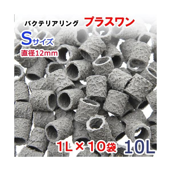 アクアリウム用品　sfset　_aqua　アクア用品　濾材　ろ材　リングろ材　生物ろ過　生物濾過　業務用　バルク　Ｓサイズ　直径１２　１０Ｌ　バクテリアリング　プラスワン　ＫＫ　多孔質　微生物　硝化　20150815　BACTR_plus1...