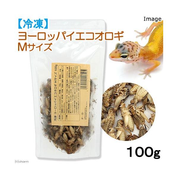 メーカー：(株)リーフ Leaf Corp コオロギ　oytdry_rptls　_hachu　冷凍　虫　エサ　フード　餌　冷★　爬虫類　トカゲ　猛禽類　フクロウ　ハリネズミ　フクロモモンガ　モモンガ　レオパ　フトアゴ　ベルツノ　クレス　20...