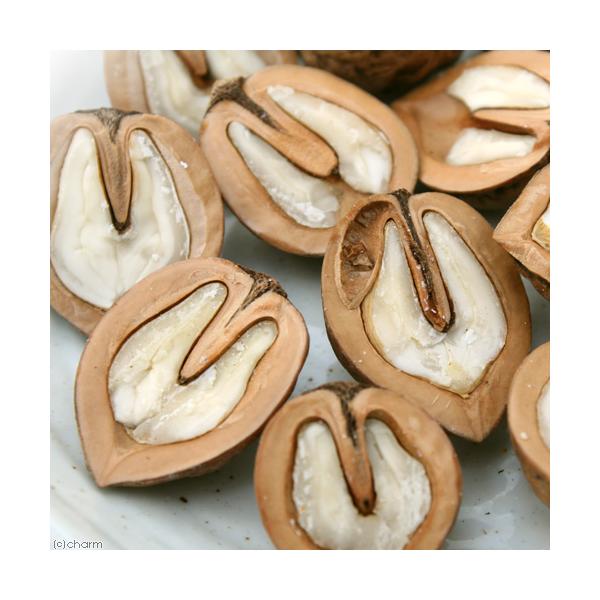 メーカー：(株)リーフ Leaf Corp usymlist　HS_tgm　小動物　鳥　ハムスター　うさぎ　チンチラ　モルモット　デグー　リス　フード　えさ　おやつ　餌　用品　フルーツ　野菜　oytdry_anml　_animal　国産くる...