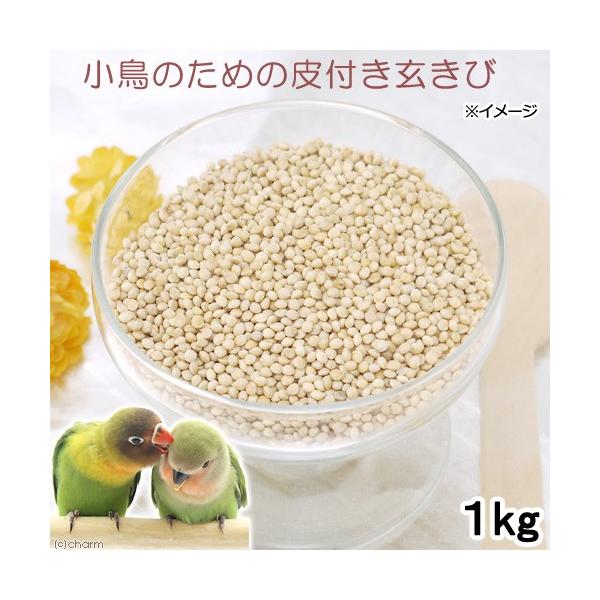 メーカー：(株)リーフ Leaf Corp tumerudake　HS_tgm　usymlist　小鳥のためのシリーズ　小動物　鳥　tori_petti　ハムスター　チンチラ　デグー　リス　フード　えさ　おやつ　餌　用品　フルーツ　１ｋｇ　...