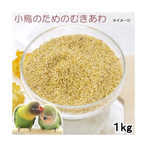 メーカー：(株)リーフ Leaf Corp line250910p510anim　tumerudake　HS_tgm　小鳥のためのシリーズ　usymlist　小動物　鳥　tori_petti　１ｋｇ　ハムスター　チンチラ　デグー　リス　フー...