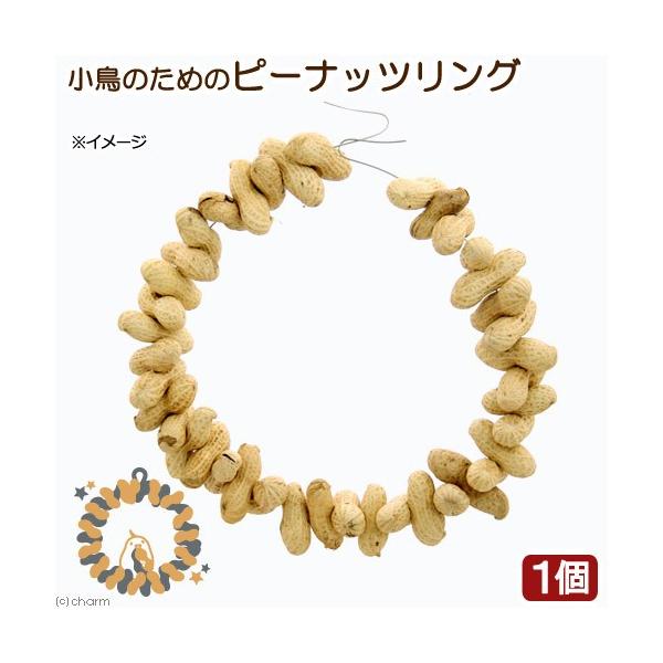 メーカー：(株)リーフ Leaf Corp _animal　usymlist　tt_toy　HS_tgm　tennen_toy　_bird　_leaf　_hobby　小動物　鳥　デグー　リス　トリ　用品　animal　dry_series　...