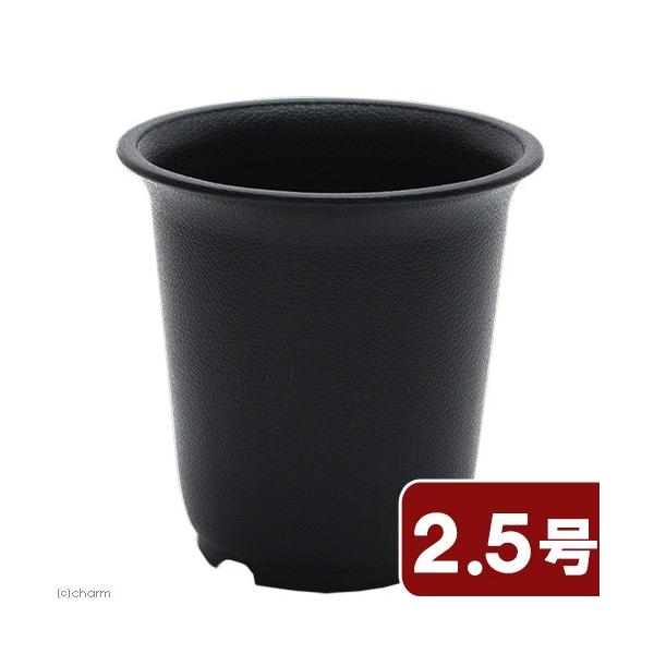 メーカー：アライ・サンズ 多肉植物　植木鉢　鉢　ガーデニング用品　left_taniku　_gardening　_interior　プラ鉢　２．５号　黒　植え替え　20181217　ＫＫ　プラポット　ブラック　管理用　ガーデニング　園芸用品...