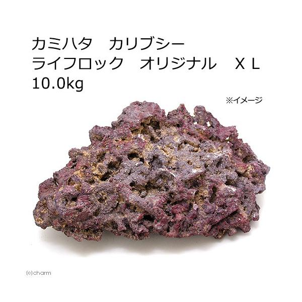 メーカー：カリブシー _aqua　sfset　カミハタ　カリブシー　ライフロック　オリジナル　ＸＬ　１０．０ｋｇ　4971664433779　アクア用品　海水　ライブロック　レイアウト用品　素材　石　擬岩養魚　海水魚　マリンアクアリウム　海...