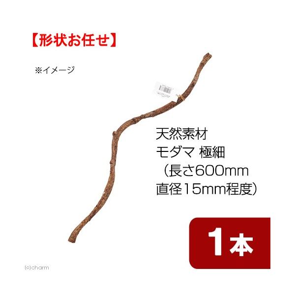 line250910p510anim　_hachu　_kame　naisyoku_syukei　_animal　小動物　１２コンテナ　Leaf　Corp　hwlist　tennenwood07　天然素材　藤の木　トンネル　吊り下げ　大　藤　...